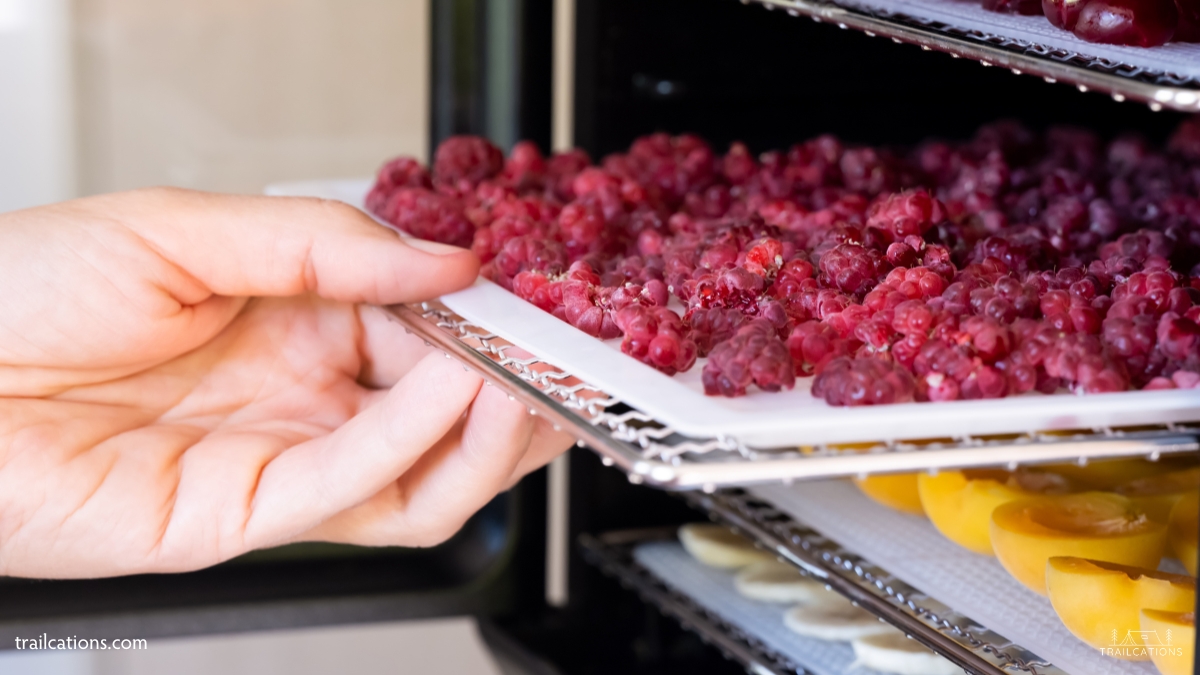 How To Clean A Food Dehydrator: A Step By Step Guide - Trailcations