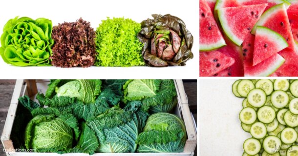 500+ Foods That Can and Cannot Be Dehydrated: The Ultimate Guide on ...