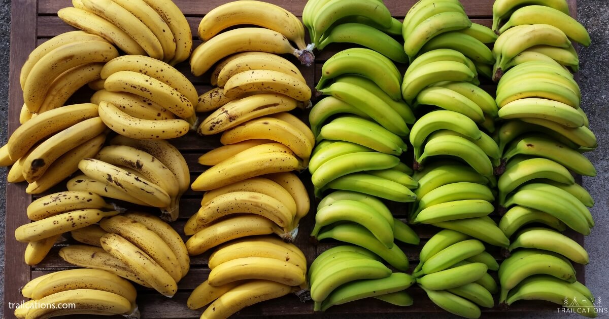 500+ Foods That Can and Cannot Be Dehydrated: The Ultimate Guide on ...