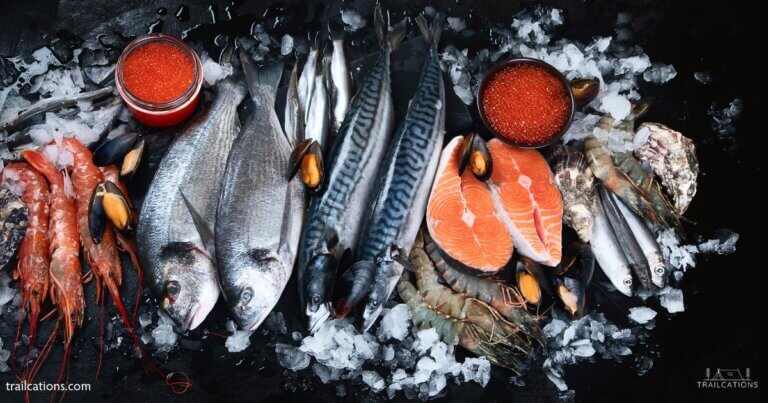 500+ Foods That Can and Cannot Be Dehydrated: The Ultimate Guide on ...