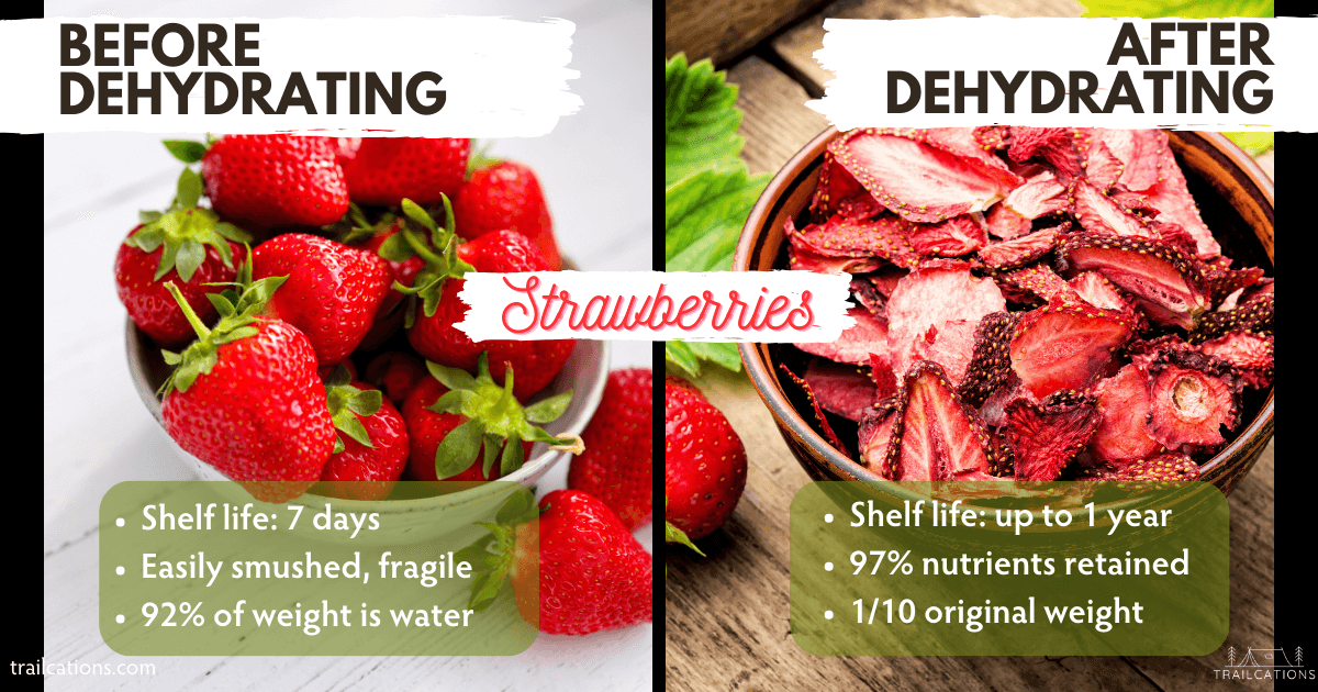 Debunking the Myth: Is Dehydrated Food Healthy? - Trailcations