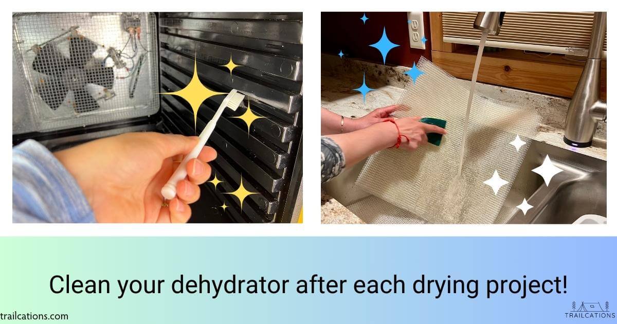 Dehydrating 101: Ultimate Guide to How a Food Dehydrator Works ...