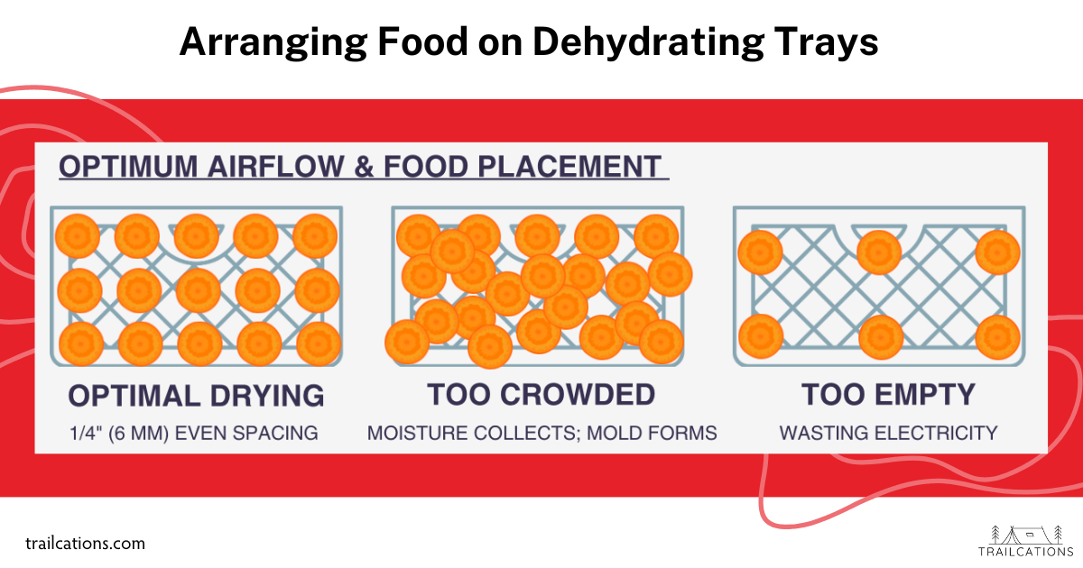Dehydrating 101: Ultimate Guide to How a Food Dehydrator Works - Trailcations