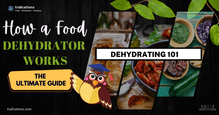 Dehydrating 101: Ultimate Guide to How a Food Dehydrator Works ...