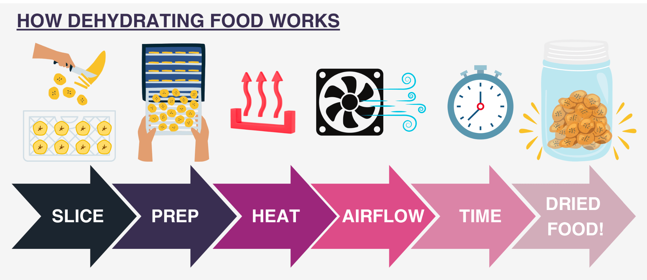 Dehydrating 101: Ultimate Guide to How a Food Dehydrator Works - Trailcations